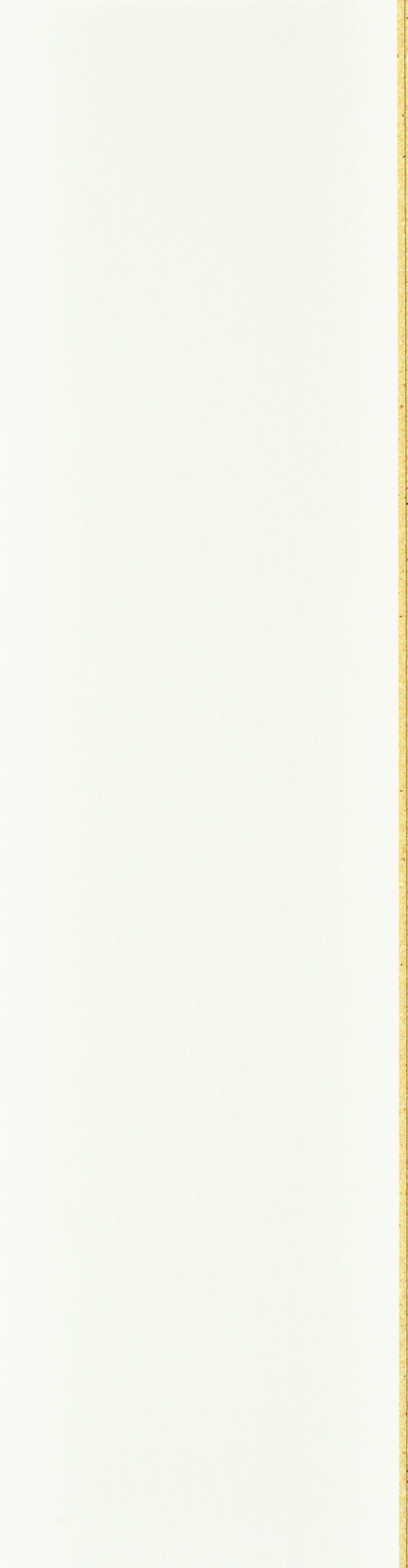 Forestia walls2paint 50pk - Forestia